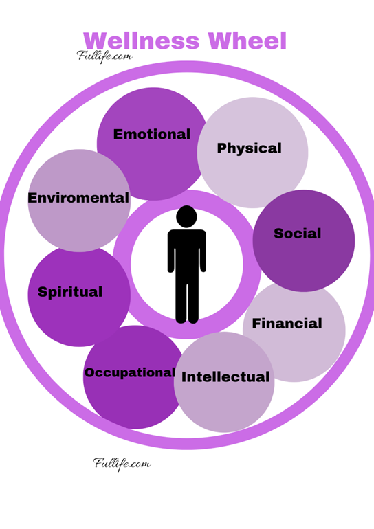 How To Use The Wellness Wheel To Achieve A Healthier
