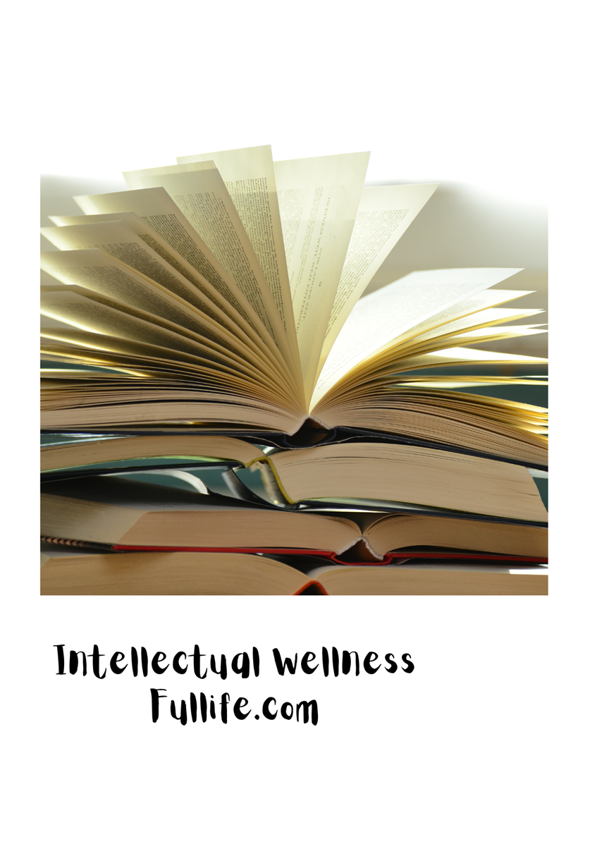 How To Use The Wellness Wheel To Achieve A Healthier